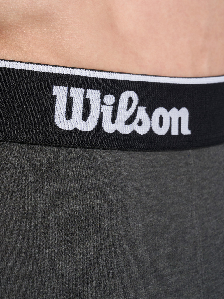 Трусы мужские Wilson, 2 штуки синий/темно-серый меланж цвет — купить за ...