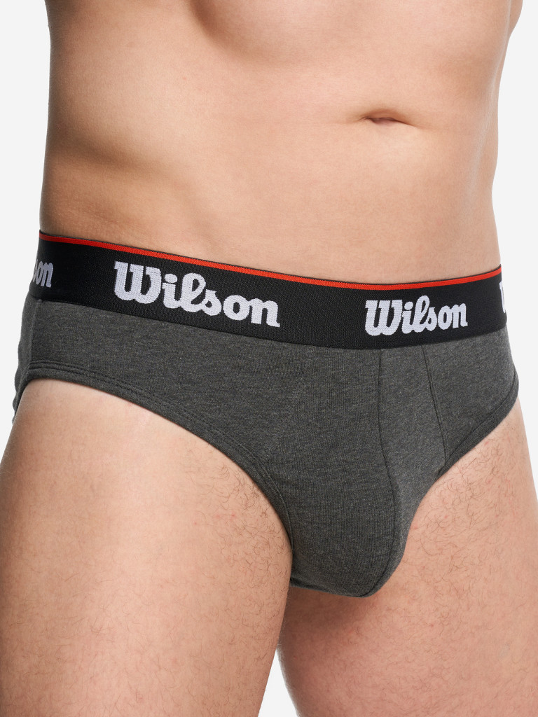 Трусы мужские Wilson, 2 штуки черный/темно-серый меланж цвет — купить ...